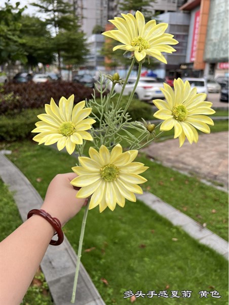 Hoa cúc Daisy 3b vàng - Bông Xiên Decor